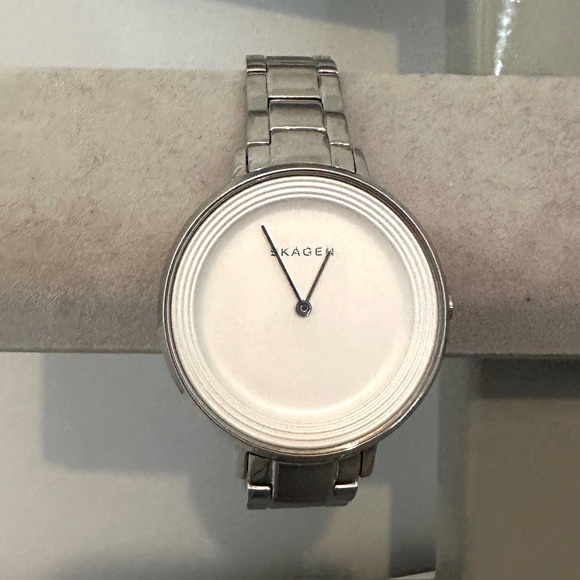 Skagen | Accessories | Skagan Womens Silver Watch | Poshmark